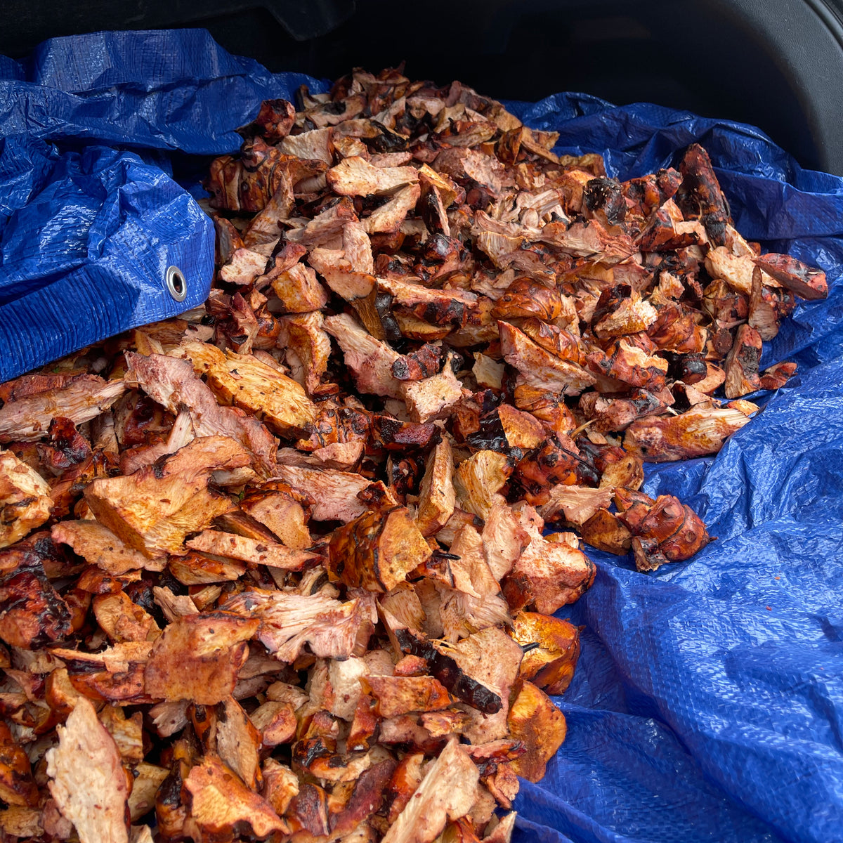 Benefits of Jamaican Chaney Root – Jahno Herbs