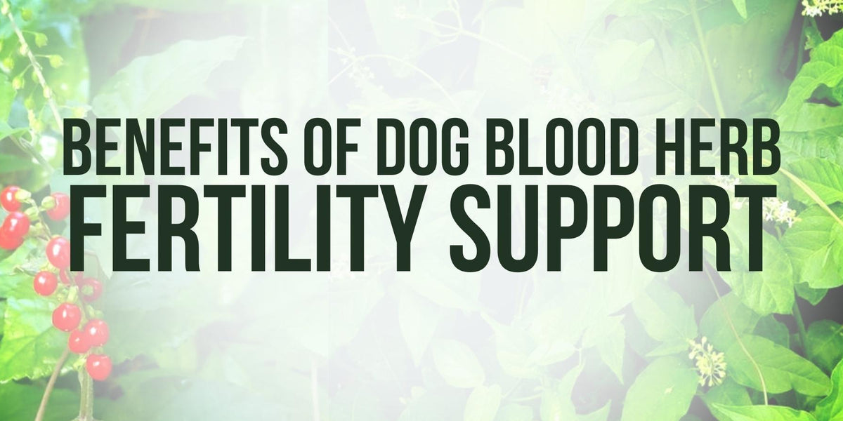 What are the benefits of Dog Blood Bush, Fertility Support, Rivinia Hu ...