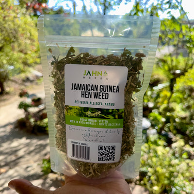Jamaican Guinea Hen Tea, Anamu Tea – Jahno Herbs